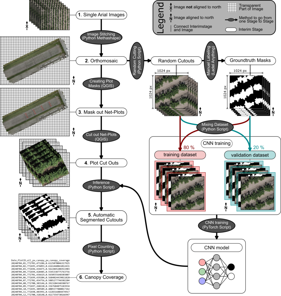 From Drone Images to Insights: Using Neural Networks for Canopy Coverage Detection and ...